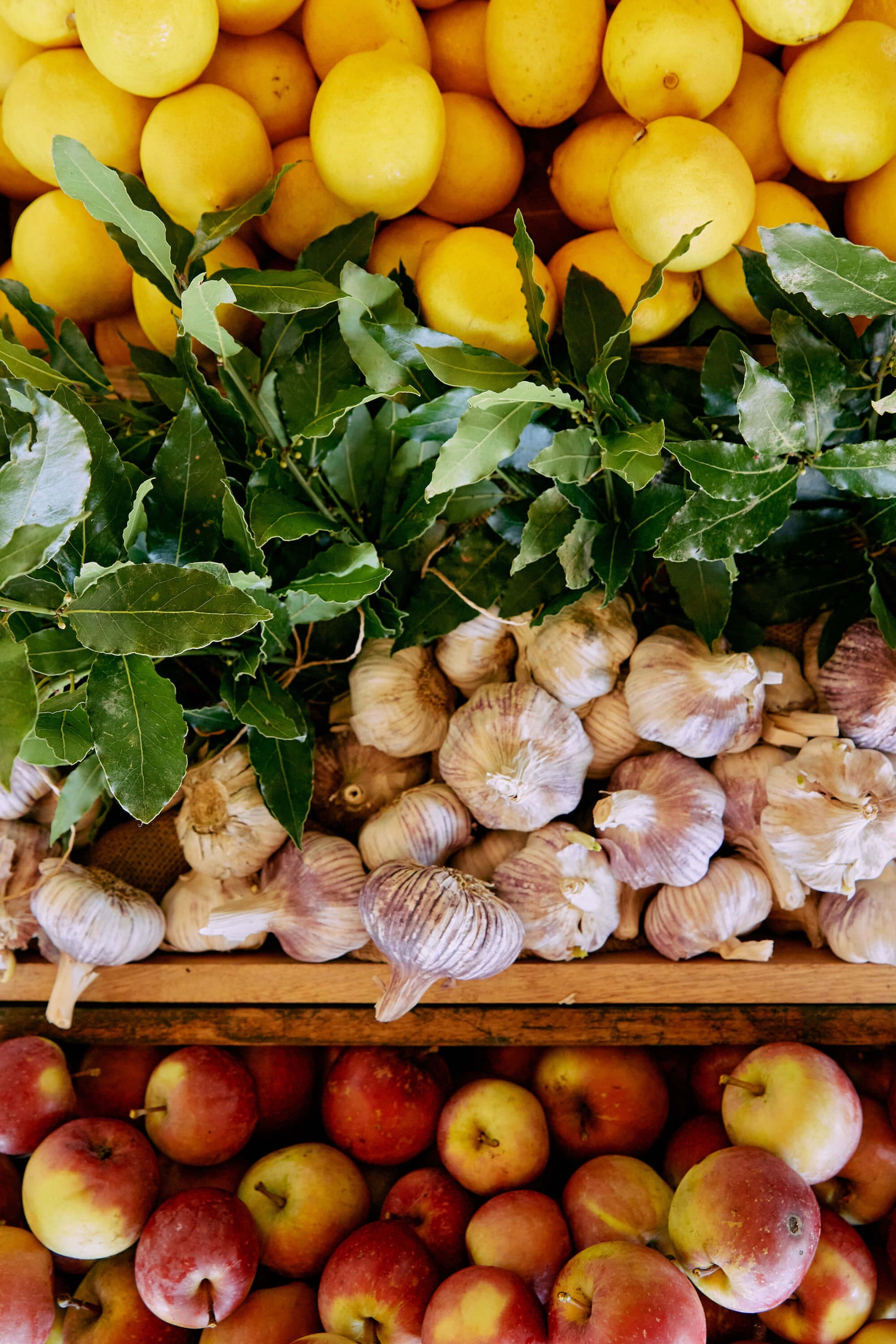 Gallery | Morning Market Fitzroy & Prahran